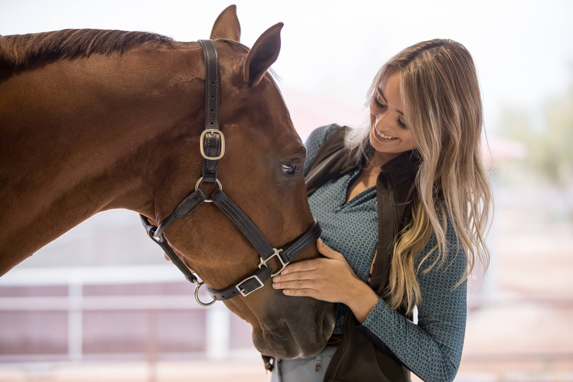 How to Become an Equine Insurance Agent? – Promt Insurance